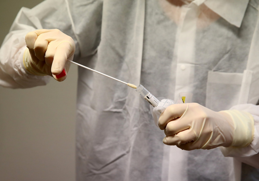 Zaragatoas made in Portugal – Better Dreams Ahead